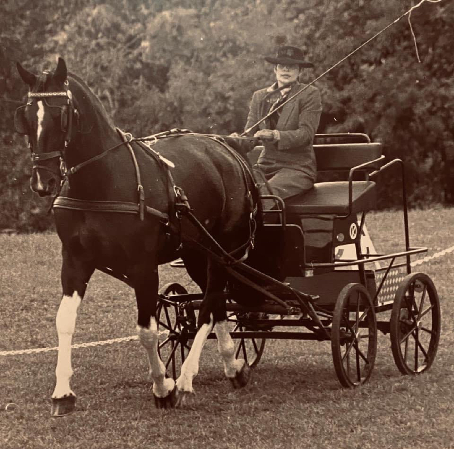 About | Kathy George